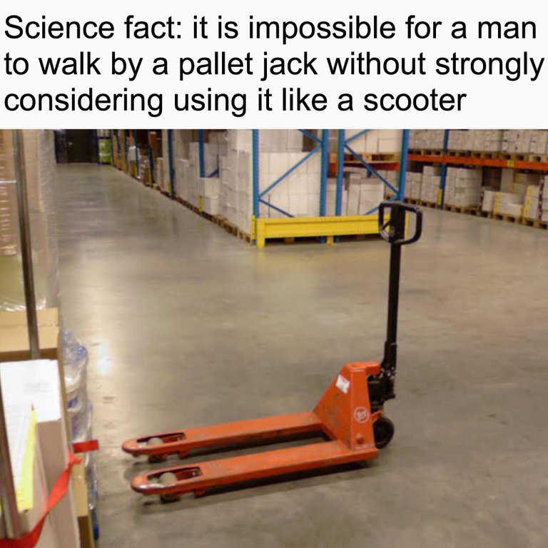 Science fact: it is impossible for a man to walk by a pallet jack ...