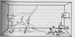 Kucing Schrodinger - Belajar Teori Kuantum