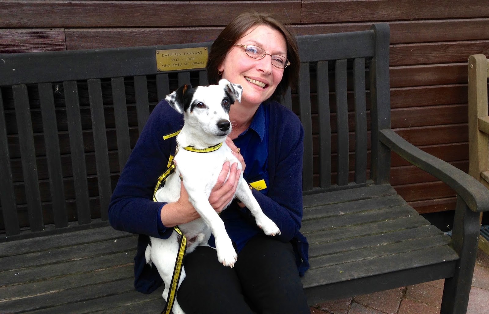Life's a (Shoreham) beach: A tour around Shoreham Dogs Trust
