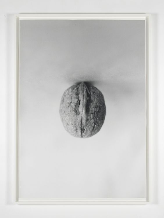 Becky Beasley – a f a s i a