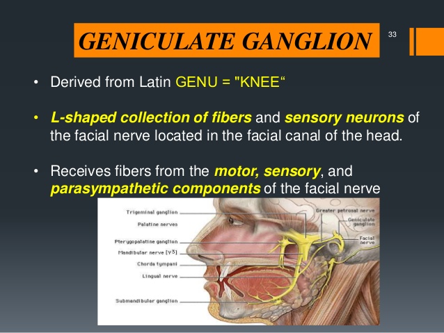 EXAMS AND ME : Geniculate Ganglion
