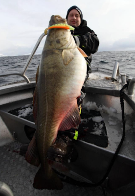 Big Fishes of the World: COD ATLANTIC page 2