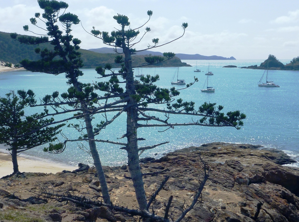 Heatwave Leopard 42: White's Bay, Middle Percy Island