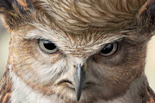 Just Watching the Wheels Go Round: Synchromystic Artistic Reflections ...