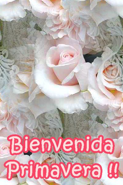 ZOOM FRASES: flores con mensaje o saludo de feliz primavera