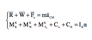 Biomechanics and Human Movement : Forces Transmitted by Muscles-Tendons ...