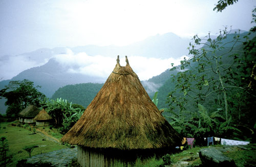 THE AWESOME: GRUPO INDIGENA LOS KOGUI