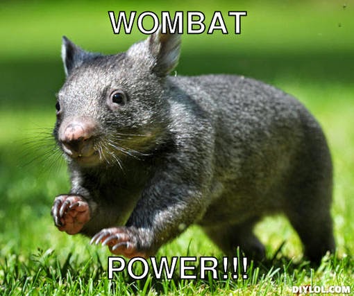 A View from the Beach: Wombat's Friday Fodder
