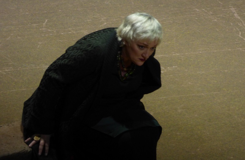 Fred ailleurs: New York City : Elektra, Metropolitan Opera