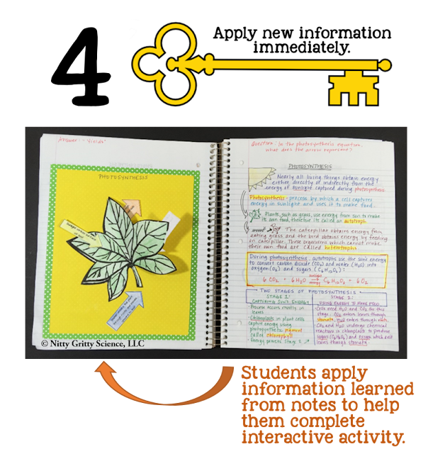Nitty Gritty Science: Keys to a Successful Science Interactive Notebook