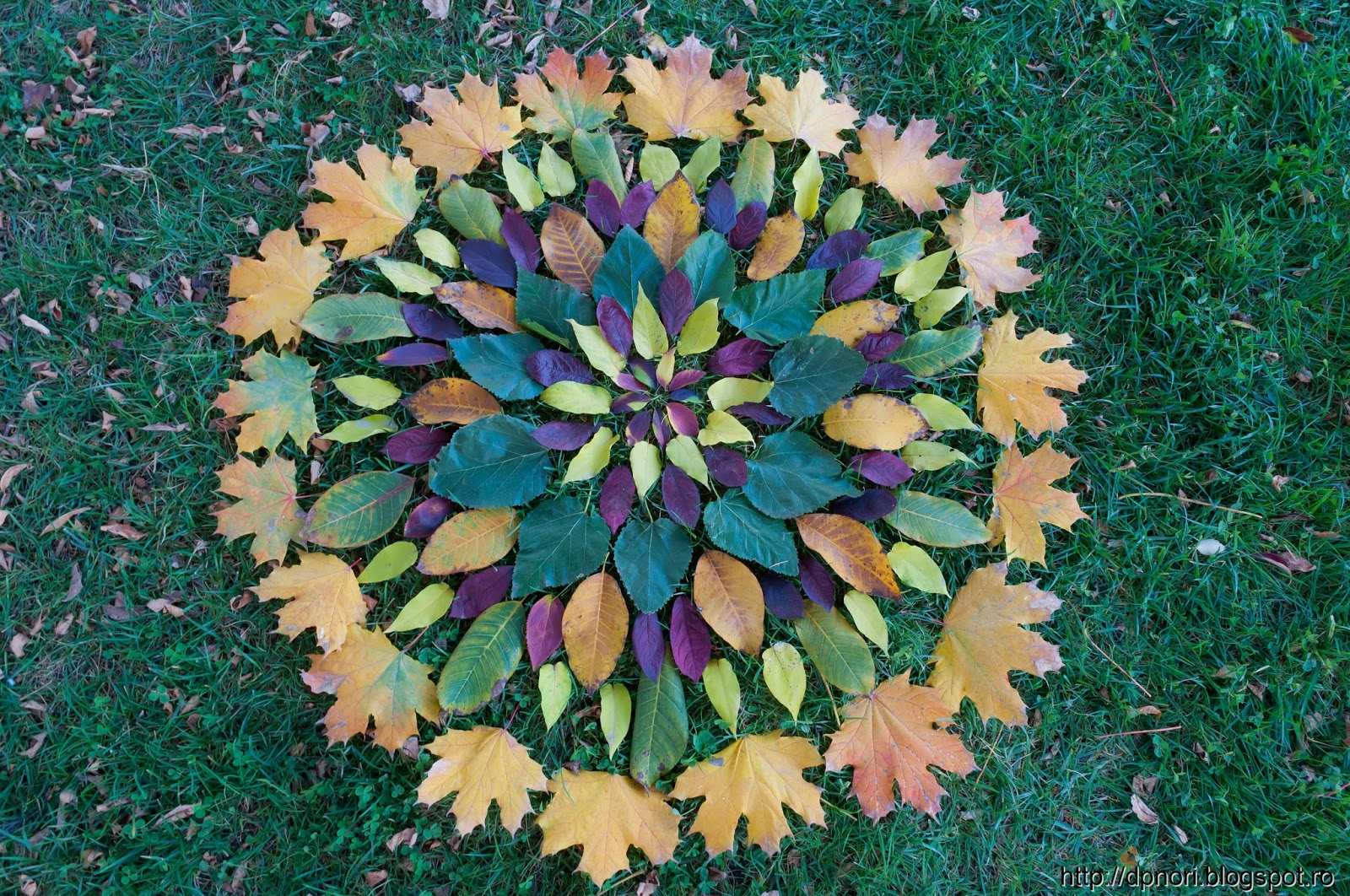 .printre nori: Mandala din frunze de toamna