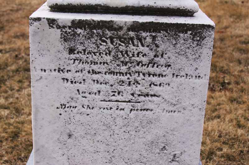 Climbing the Branches of My Family Tree: What's in a name? The story of ...