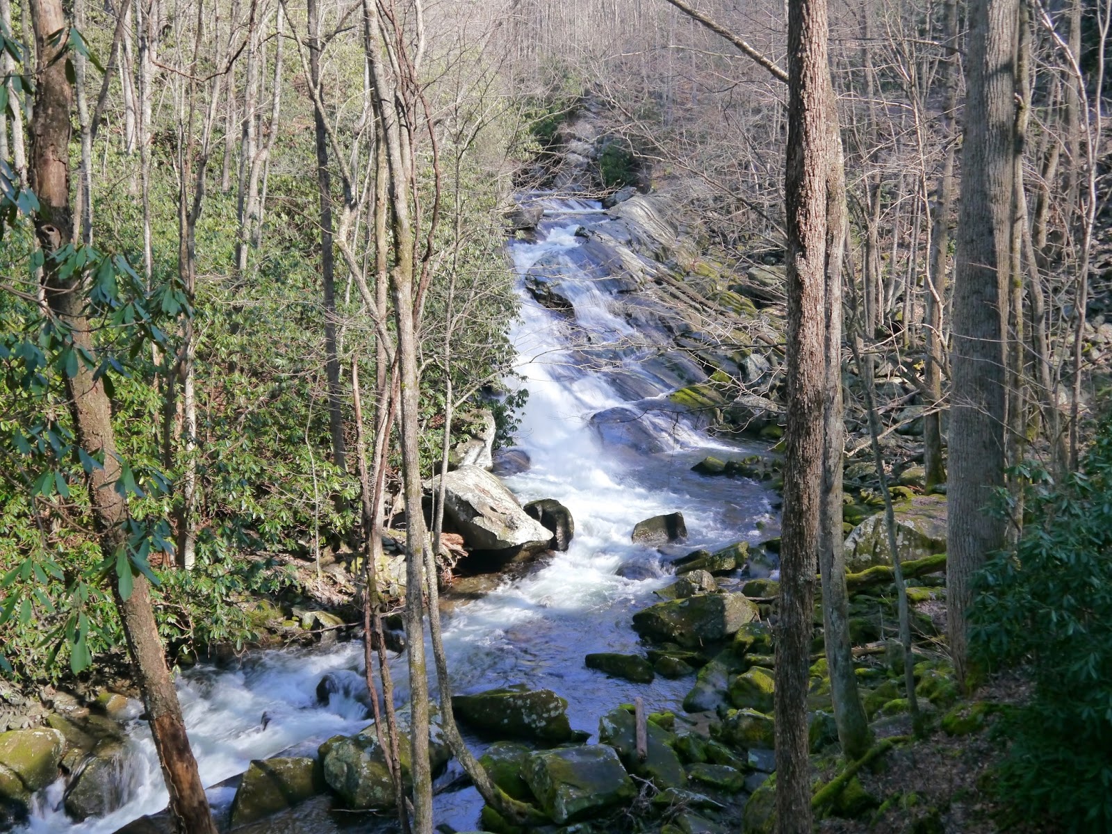 American Travel Journal: Middle Prong Trail - Great Smoky Mountains ...
