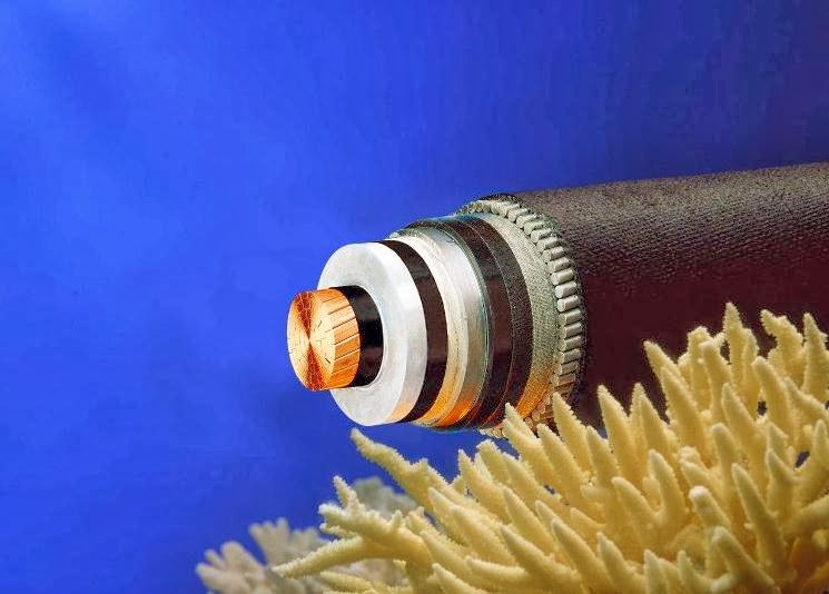 PTCL Invests in Largest Submarine Cable System