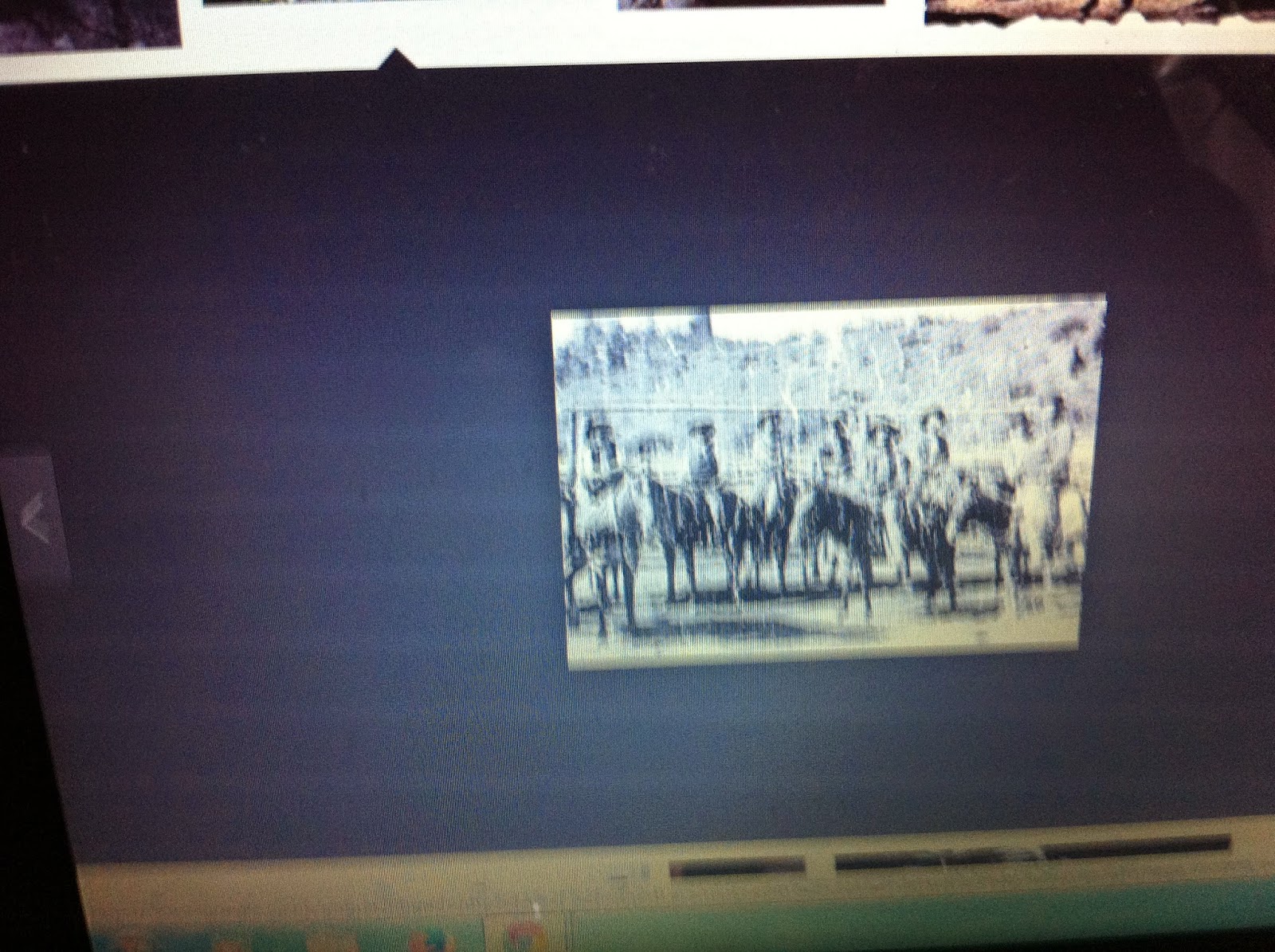 THE BLACK SOCIAL HISTORY:: BLACK SOCIAL HISTORY : AFRICAN AMERICAN ...