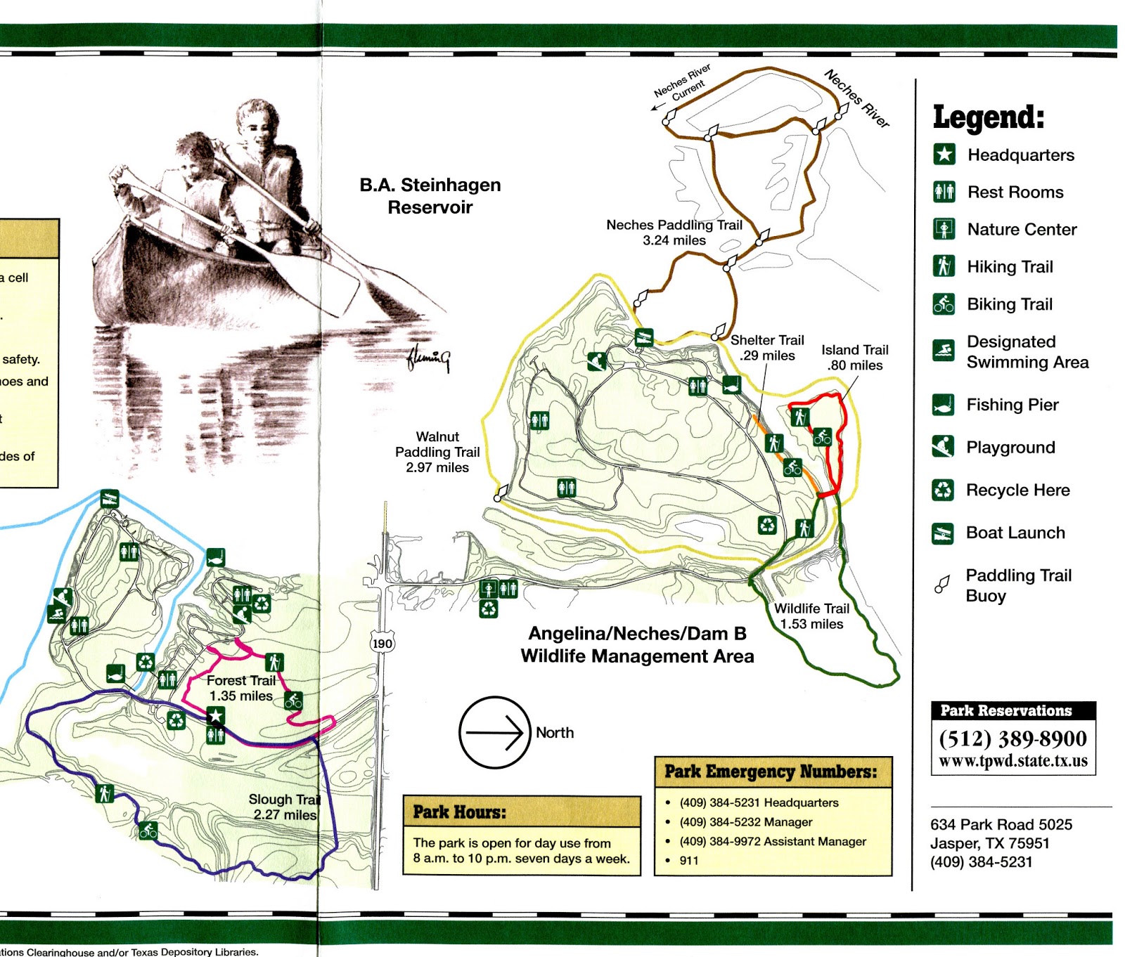 Turkey Tales and Frog Fables: Destination Martin Dies State Park