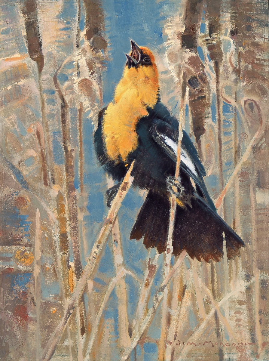 Jim Morgan Art: Current Works