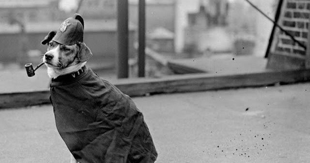 27 Outrageous Vintage Photographs of Dogs Smoking Pipes ~ Vintage Everyday