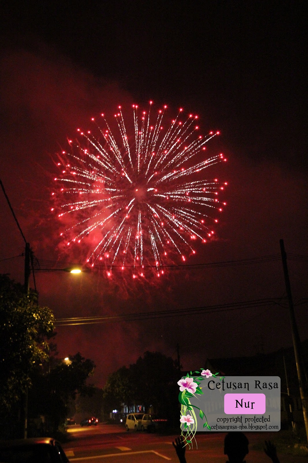 Cetusan Rasa: Percikan Bunga Api