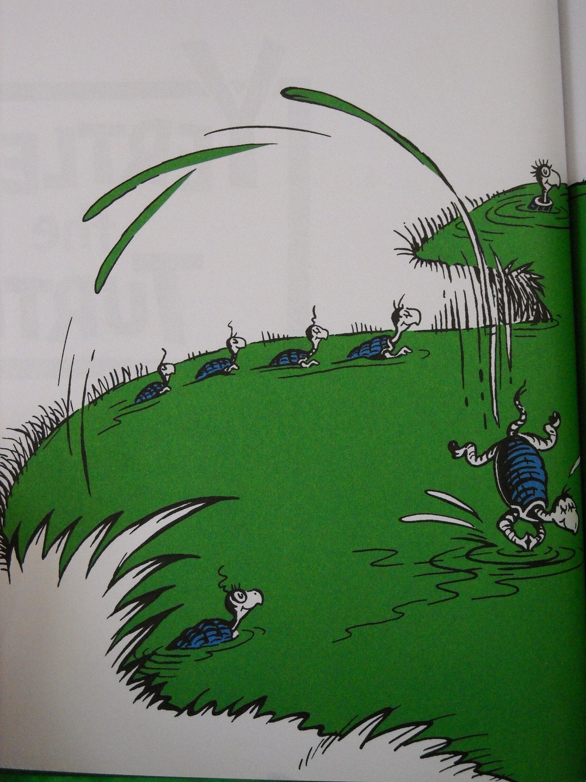 More Than ABC: Dr. Seuss Literacy Night - Yertle the Turtle