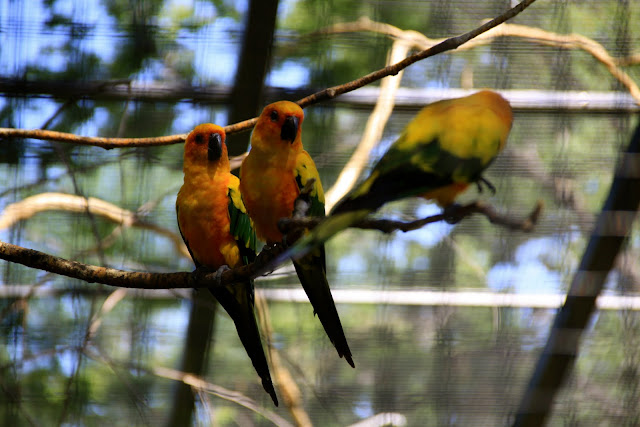 My Scenic Byway: The Tracy Aviary - Must See in Salt Lake City