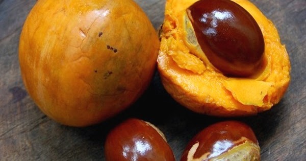 13 Manfaat Buah Alkesa Yang Menakjubkan Untuk Kesehatan