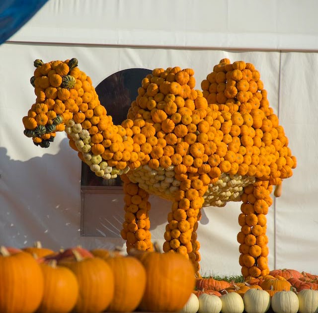 Linda Grimes: Visiting Reality : It's Hump Day, and I got nothin' for ...