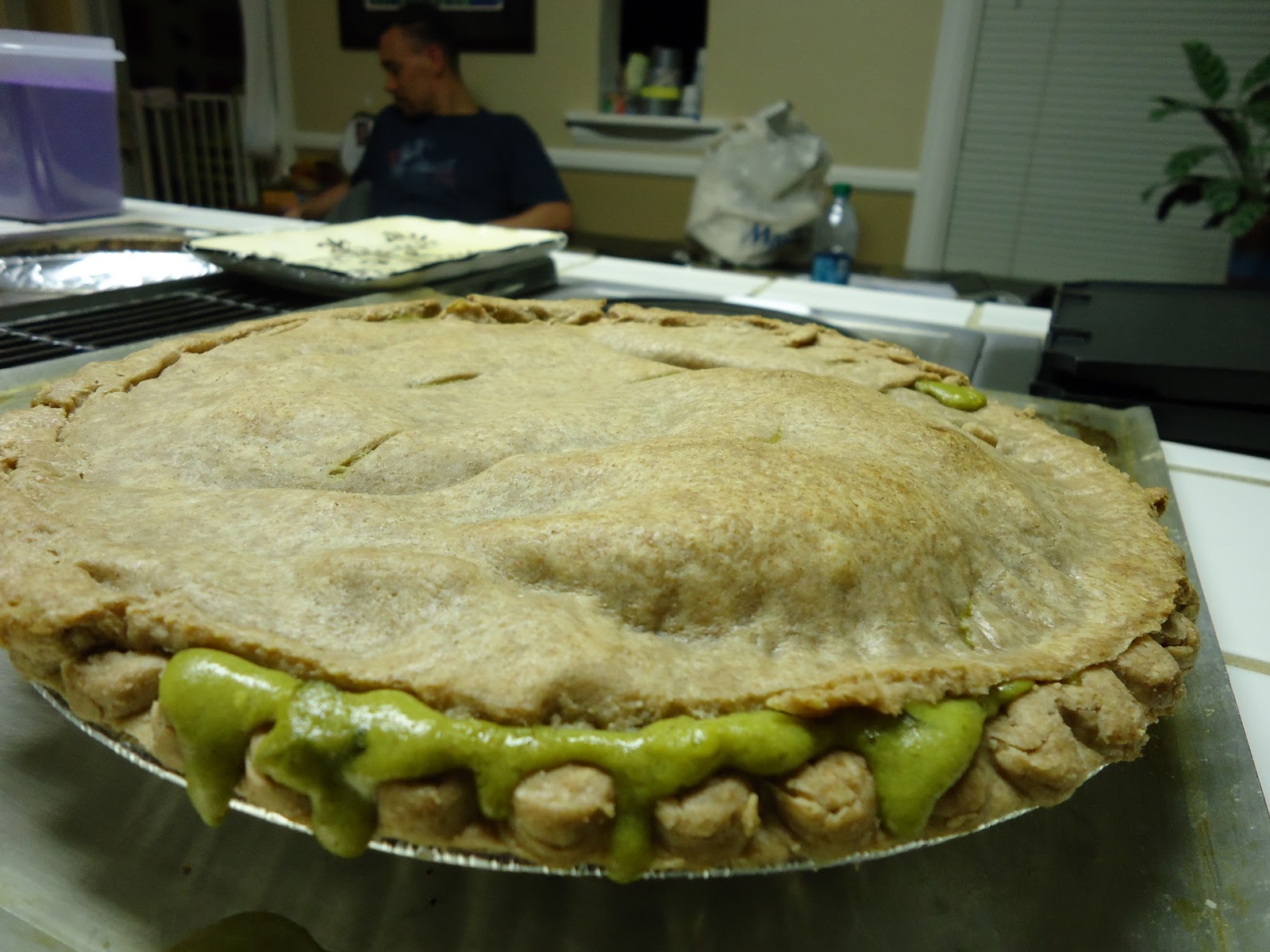 Consciousness in the Kitchen: Vegan Pot Pie (aka Shrek Pie!)