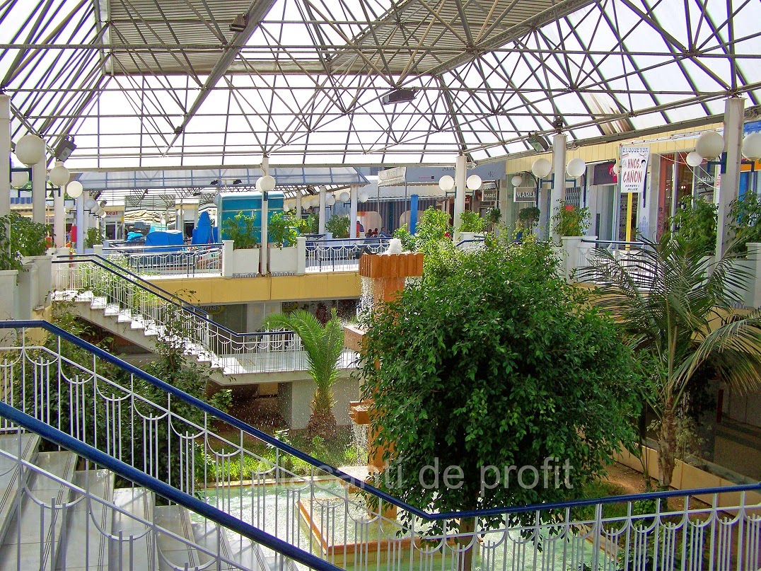 Alacantí de profit: LA FONTANA DEL CENTRO COMERCIAL FONTANA