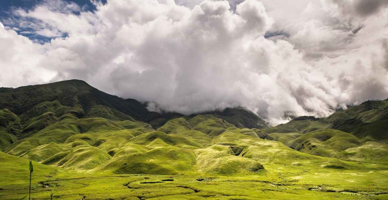 Amazing North East: The Dzukou Valley