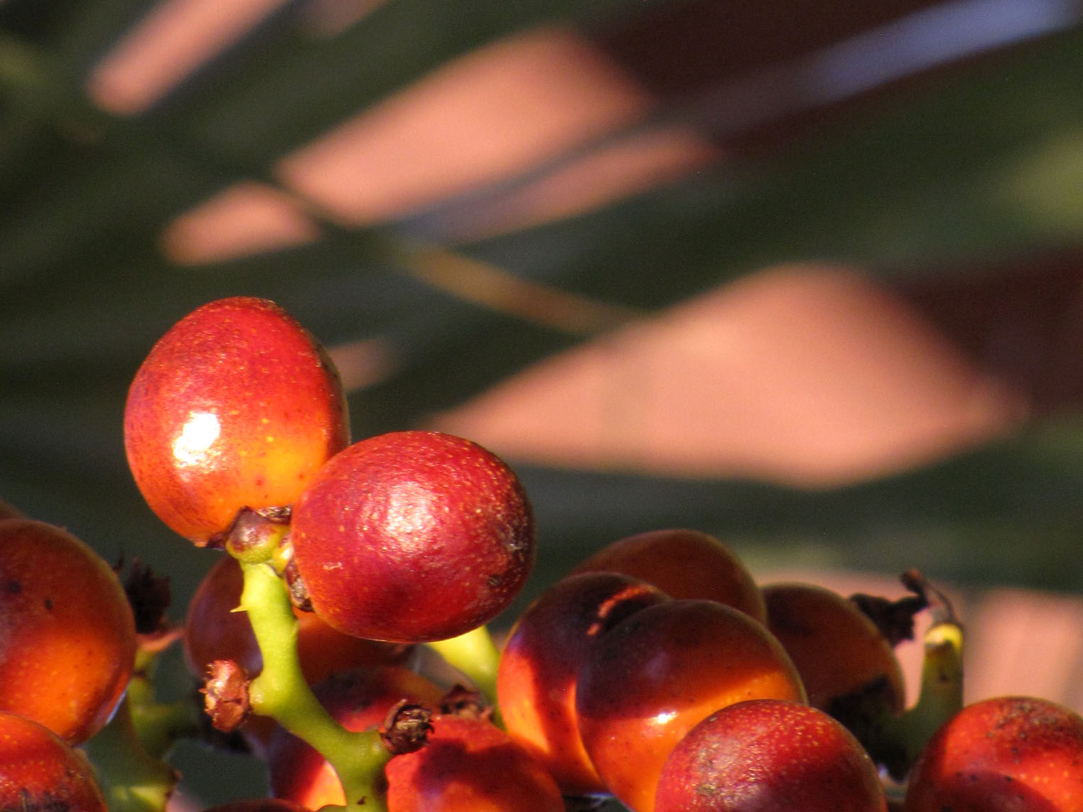 Desert Colors: October 2011