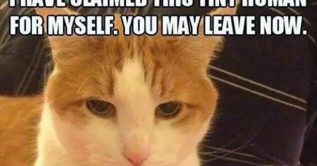 I have claimed this tiny human for myself, you may leave now | Best of ...