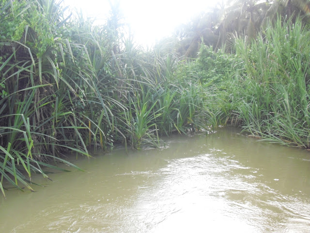 എയ്യാല്‍: Ona Kaalam