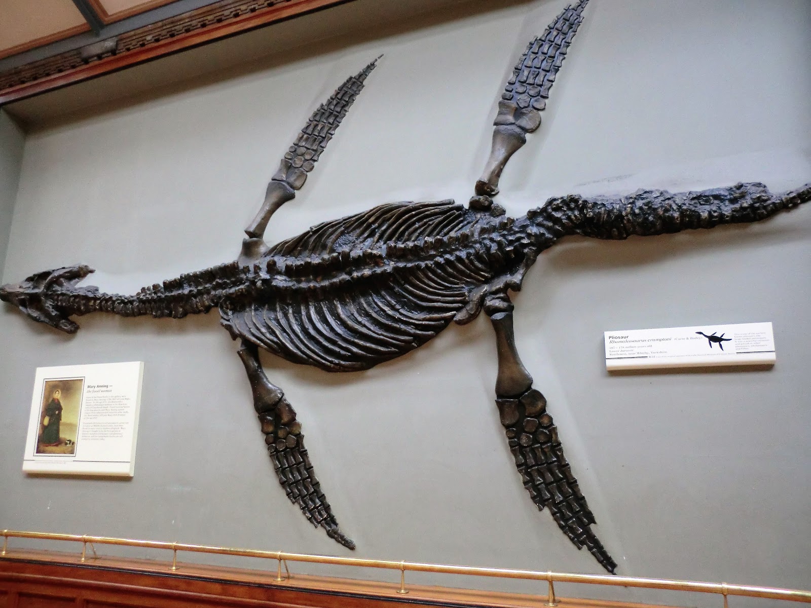 MineralesDB: mayo 2017