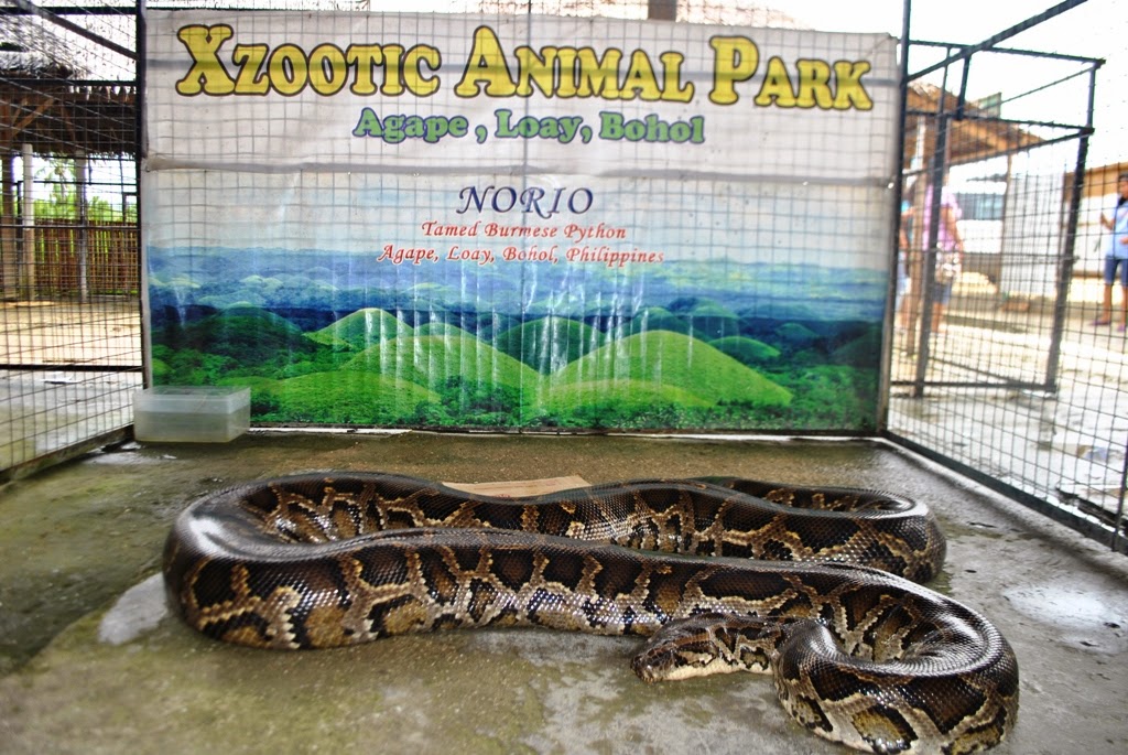 Xzootic Animal Park - Bohol Beaches