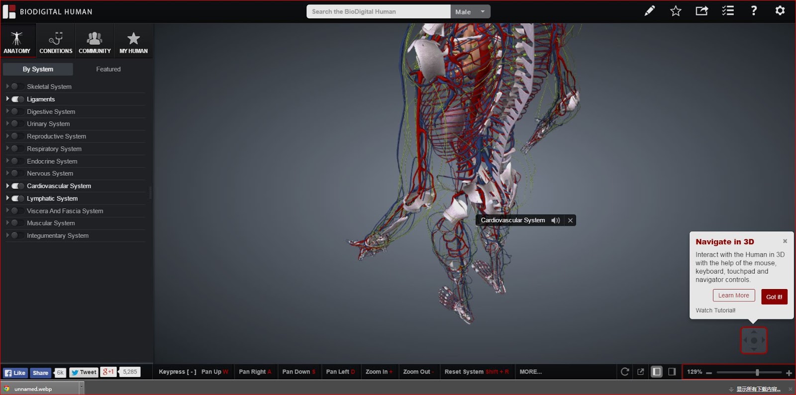 Taichung Blog @ Blog: 【分享軟體】【人體3D軟體】【BioDigital Human 2.0】BioDigital ...