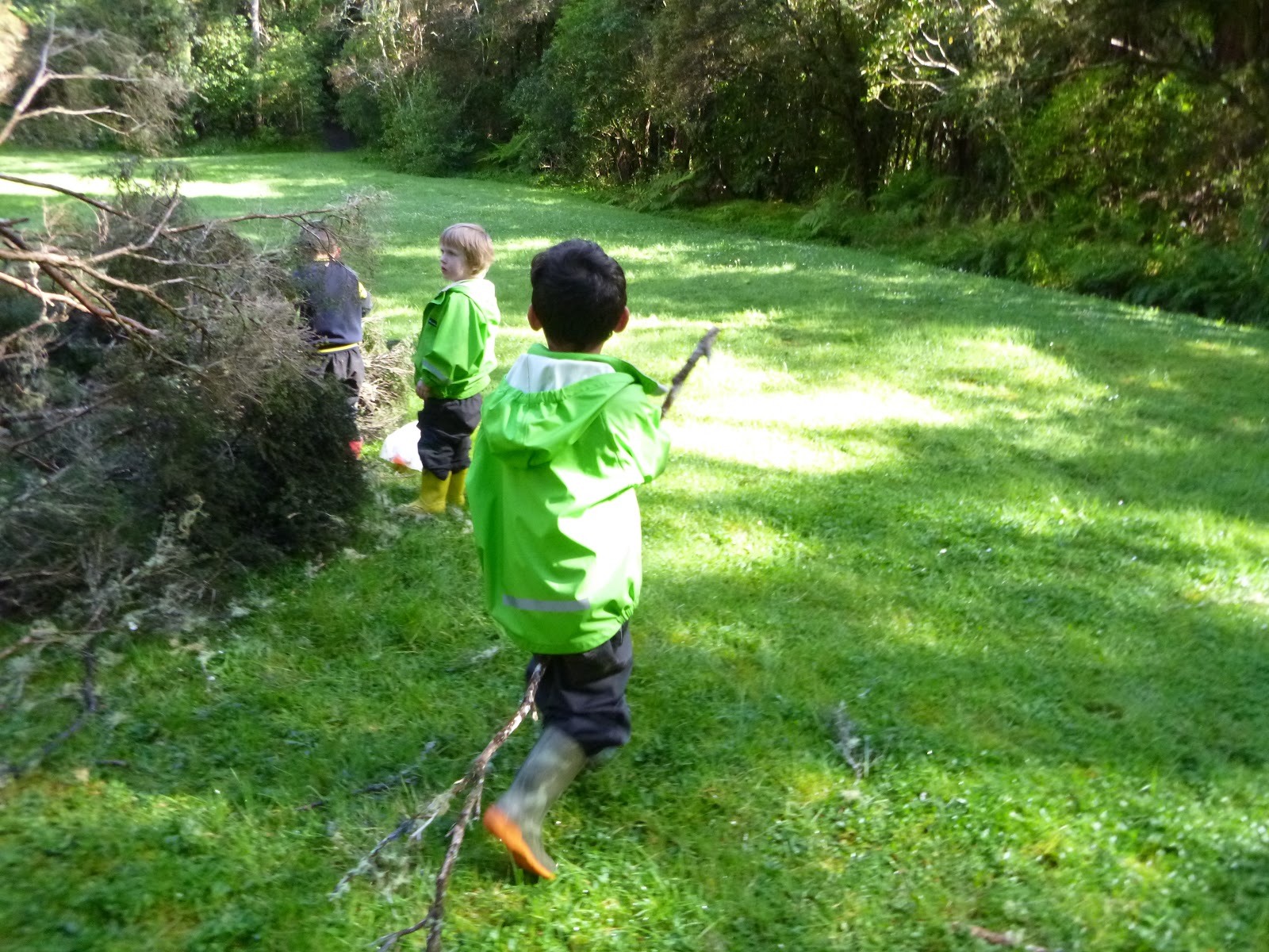 Mairtown Kindergarten: What a surprise discovery on the nature programme