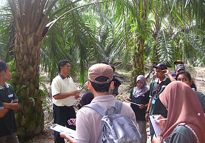 Forest Dweller: Field Trip - Segari Melintang Forest Reserved and Eco ...