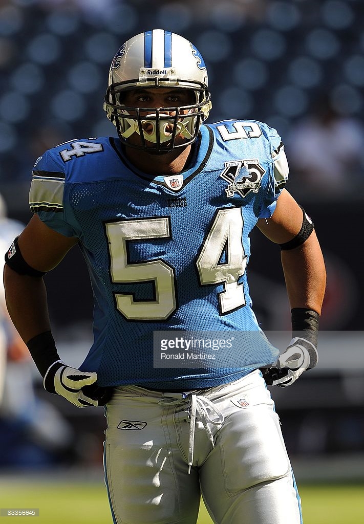 Detroit Lions 345 15: An ode to the 2008 Detroit Lions. a review of the ...