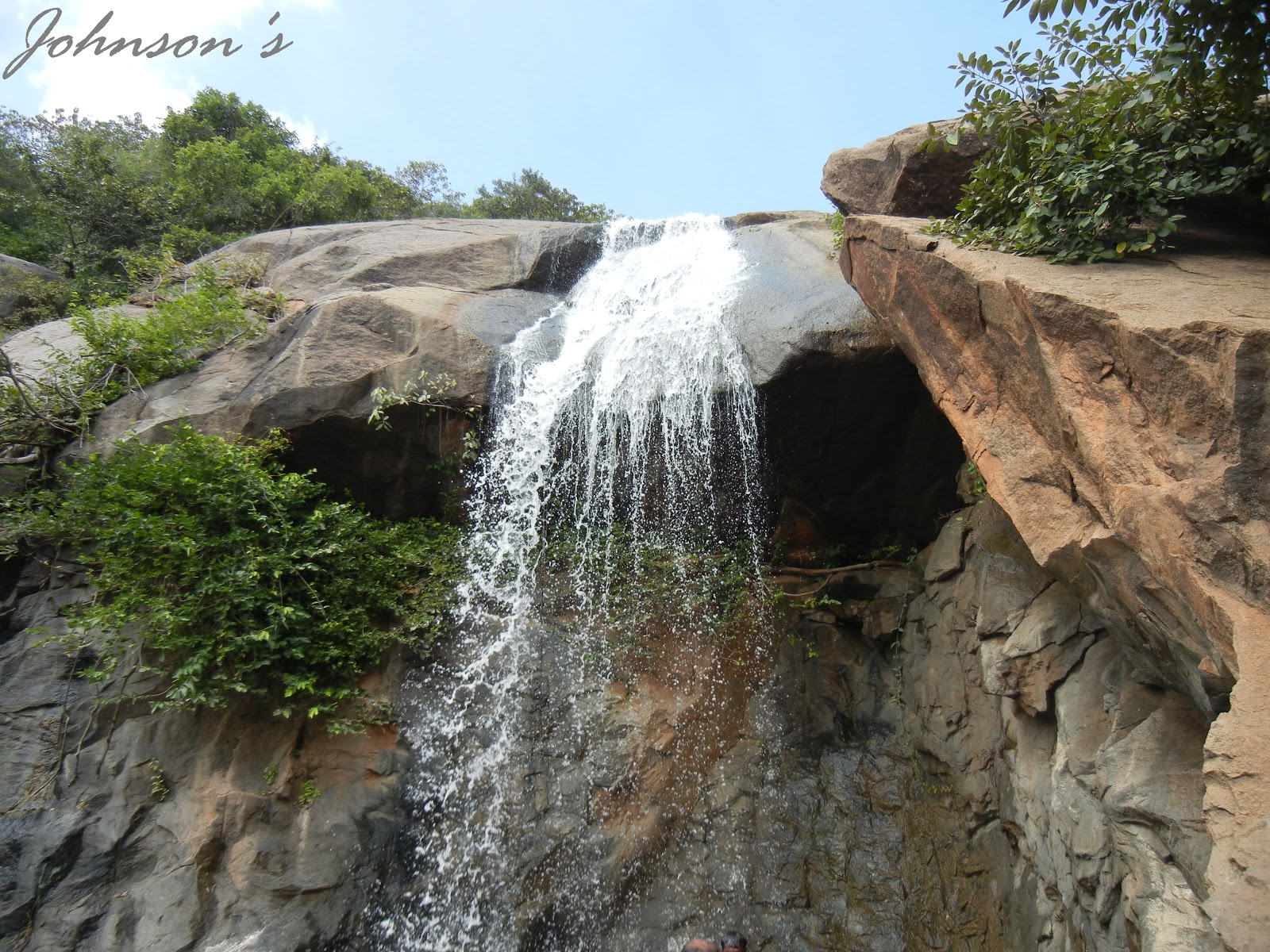 Johnson's: Yelagiri Hills & Jalagamparai Falls
