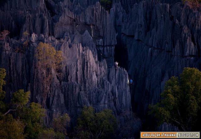 INFO WORLD: Tsingy - Madagascar Stone Forest Photos