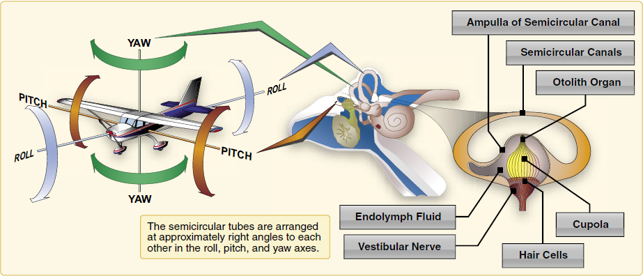 The Arts, Sciences and Medicine: SPATIAL DISORIENTATION