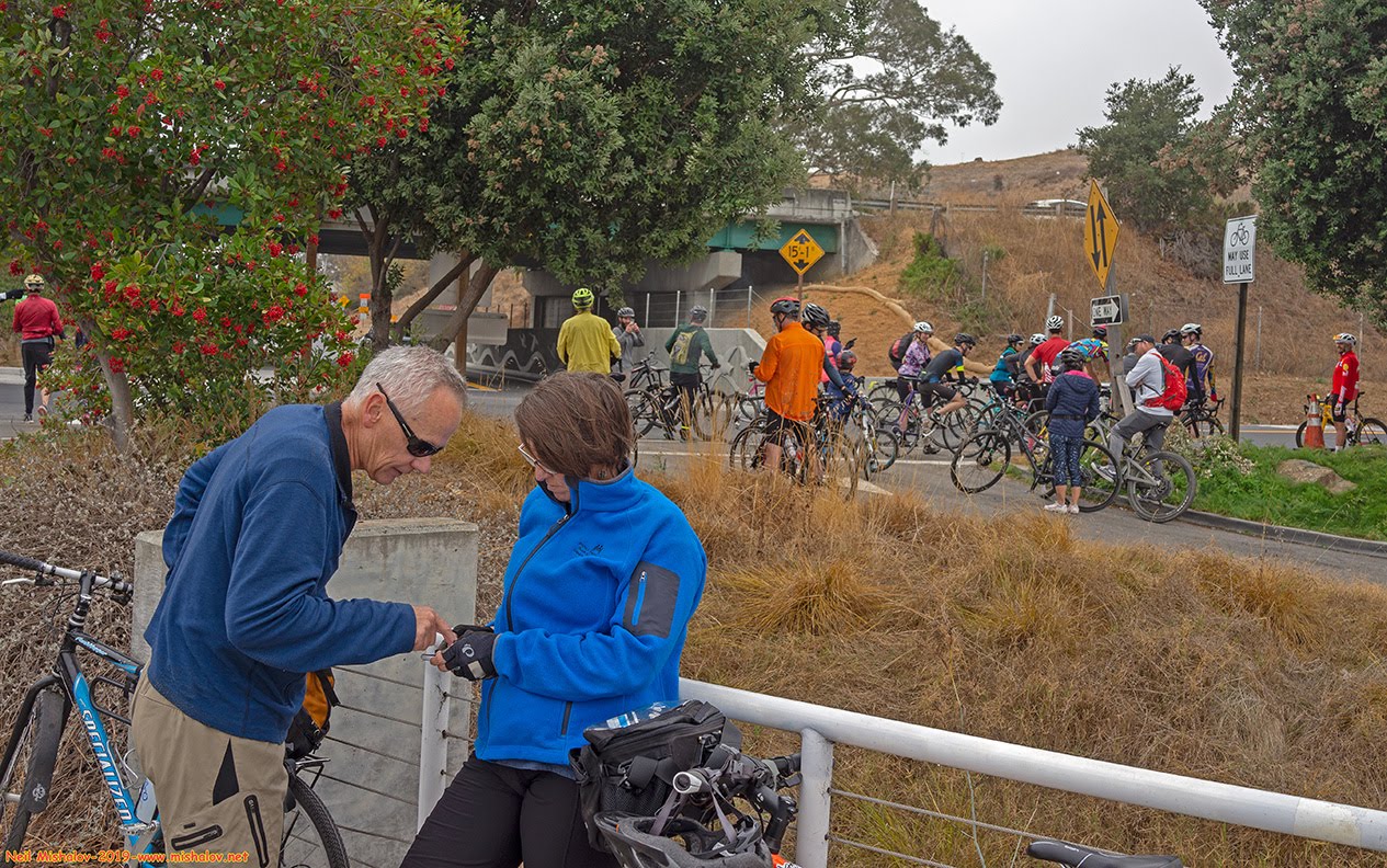 San Francisco Bay Area Photo Blog: Richmond-San Rafael Bridge – The New ...