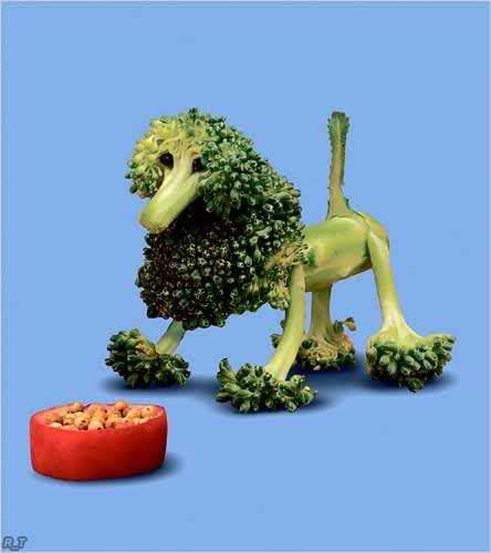 Most Funny Pictures,Weird,Bizarre,Strange Stuff: Projects Funny Food Art