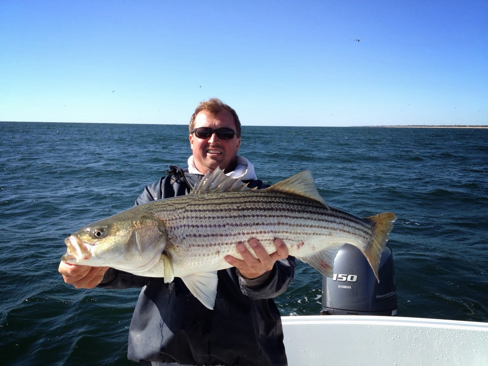 Montauk Weakfish?