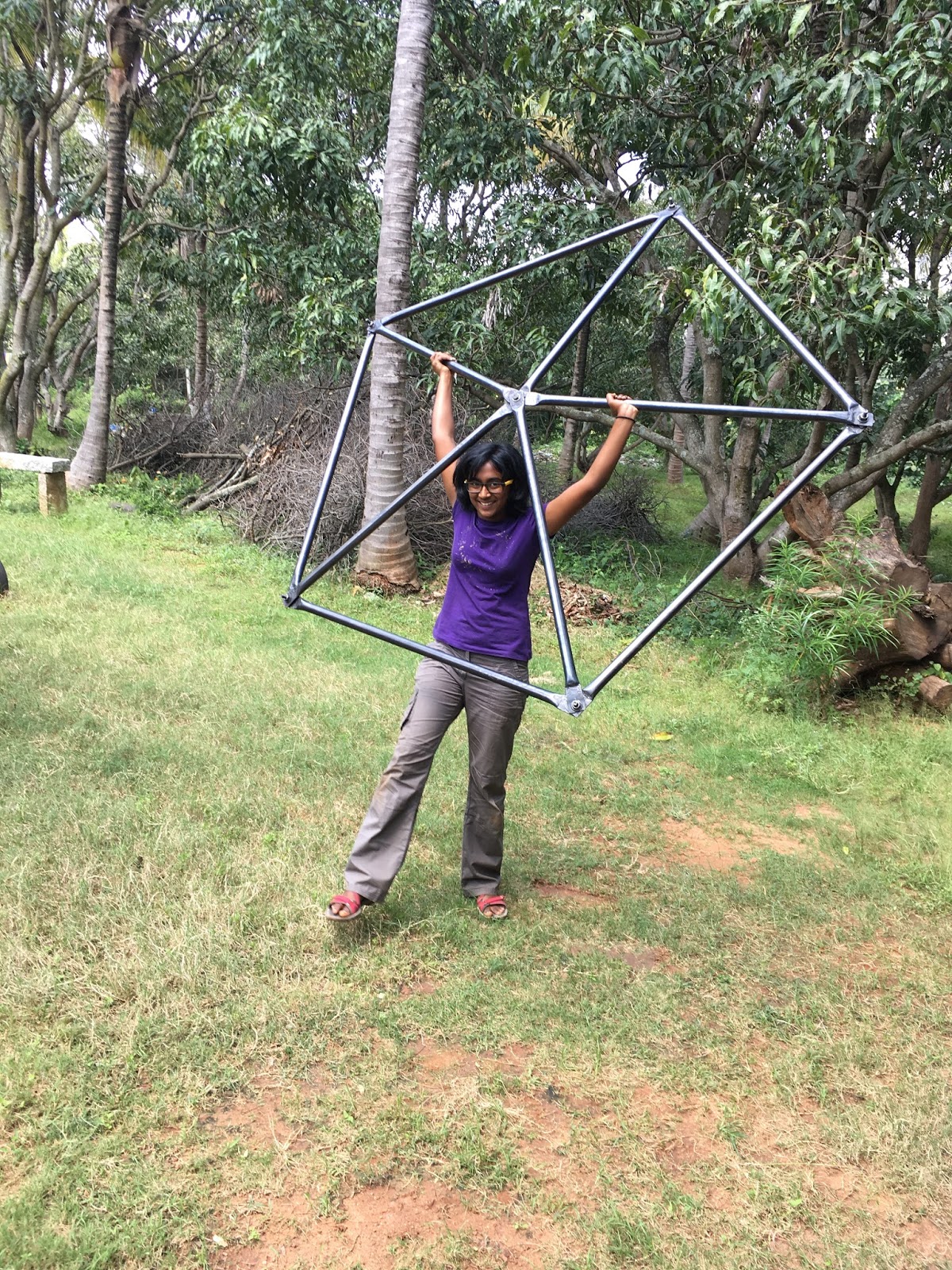 The Geodesic Dome Project