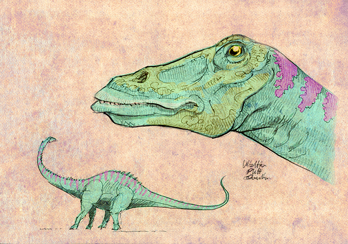 The scifi papers: Diplodocus sketch