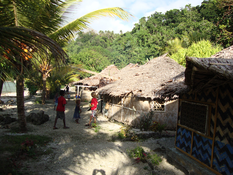 Lardo's Dream: Pictures of Maewo Island, Vanuatu