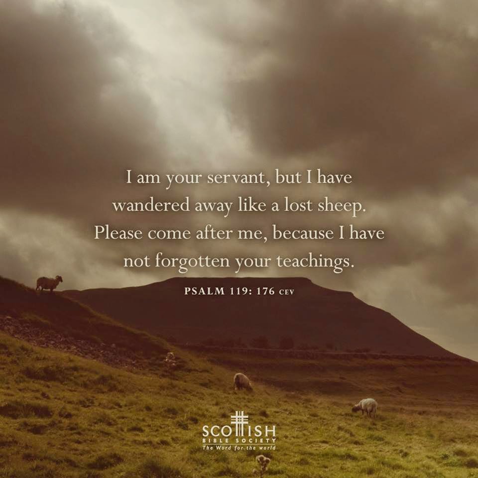 I AM YOUR SERVANT (PSALM 119:176)