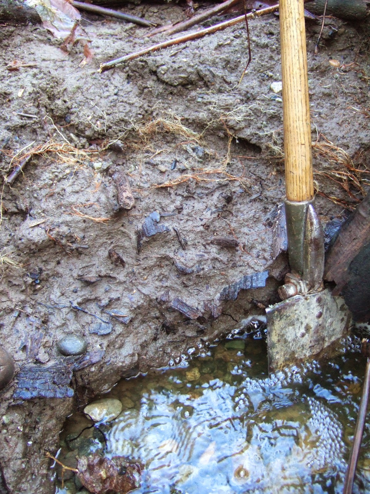 Reading the Washington Landscape: Field Work: Incised Stream/Landslide ...